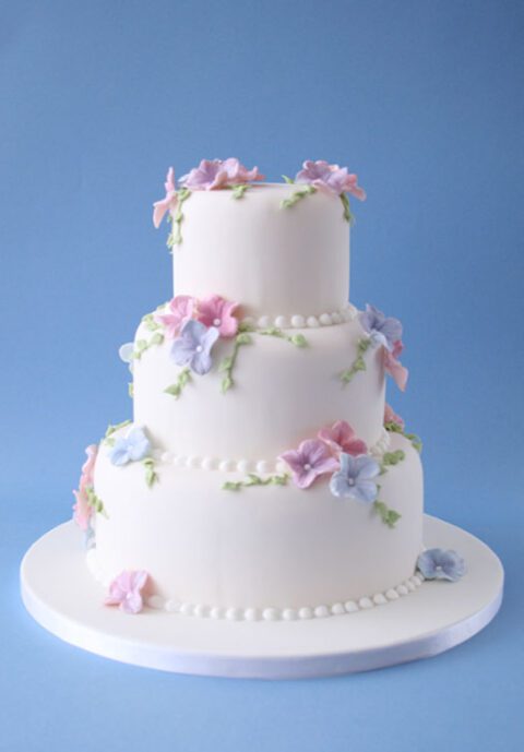 Cake updates • Cake Journal