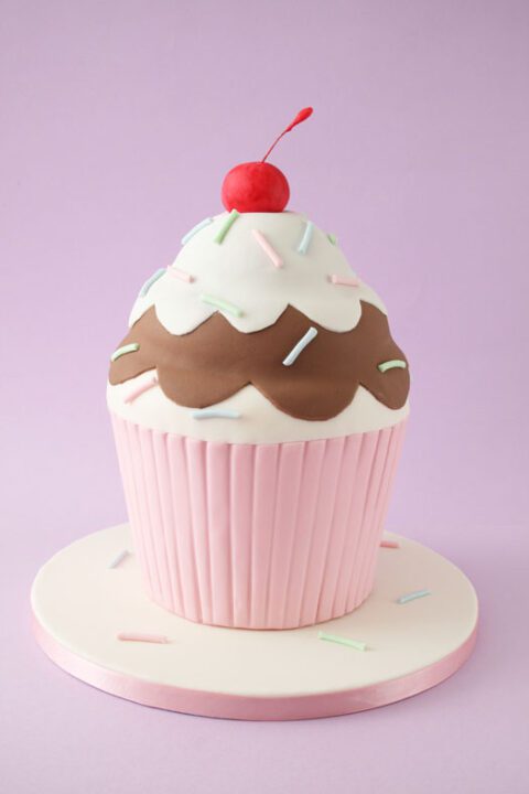 Cake updates • Cake Journal