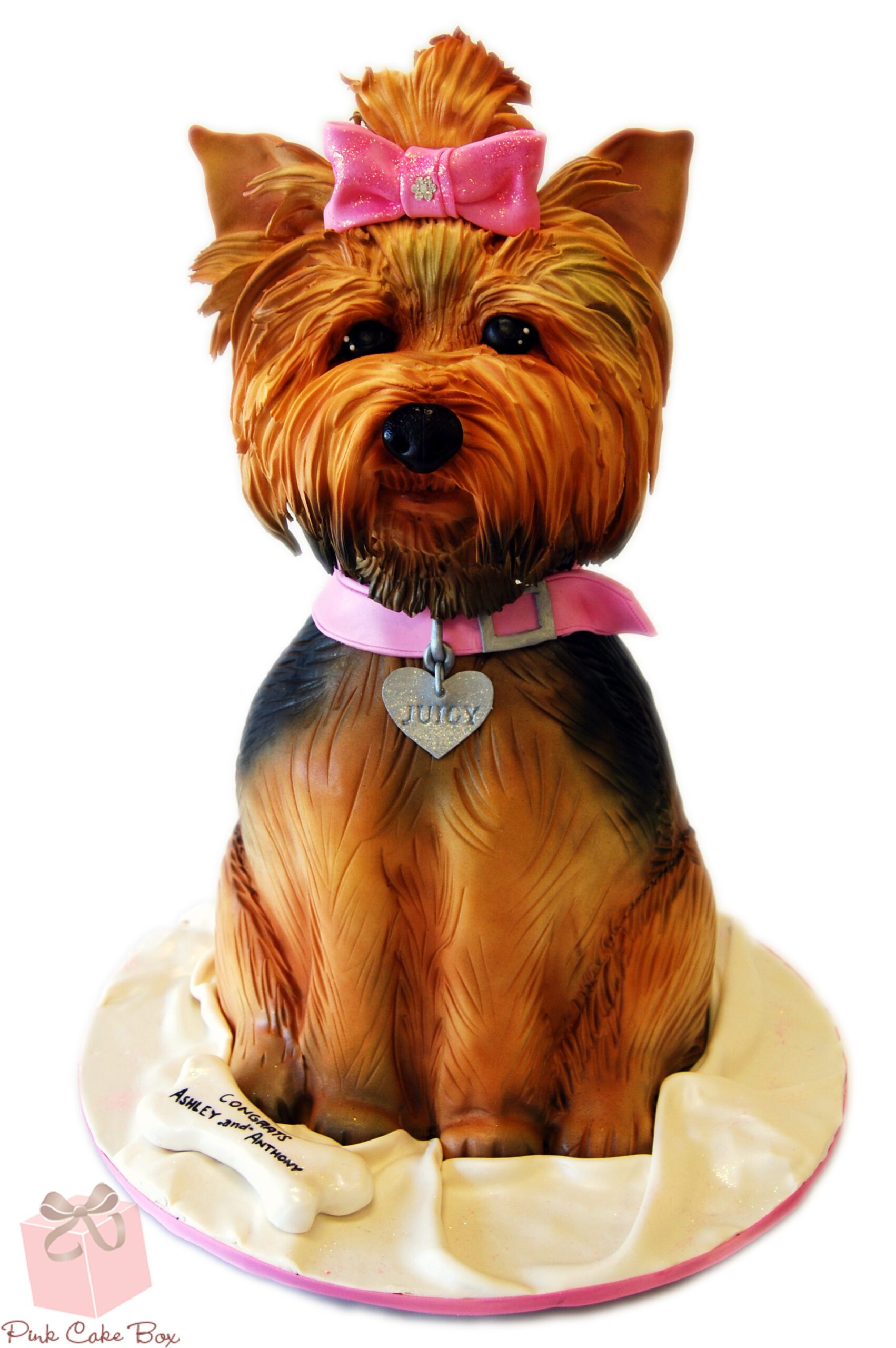 Yorkie Rehearsal Cake by Pink Cake Box