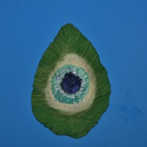 How to make gum paste peacock feathers • Cake Journal