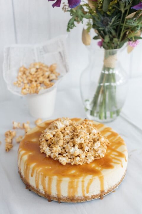 Top 10 Cheesecake Recipes • Cake Journal