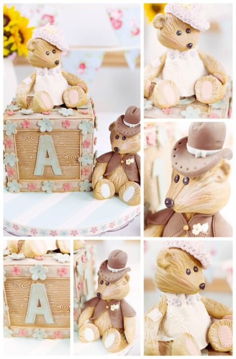Introducing Cake Journal Premium - Special Launch Discount! • Cake Journal