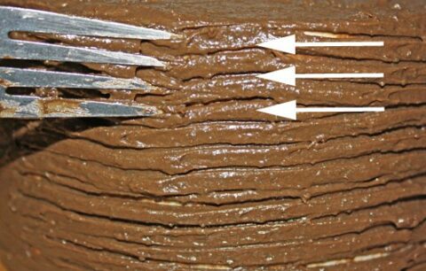 How to decorate a cake with just a fork • Cake Journal