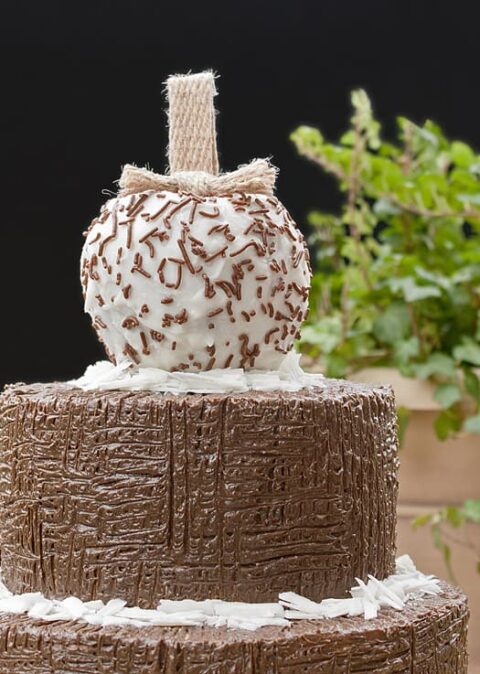 How to decorate a cake with just a fork • Cake Journal