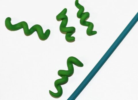 How to make two peas in a pod cake topper • Cake Journal