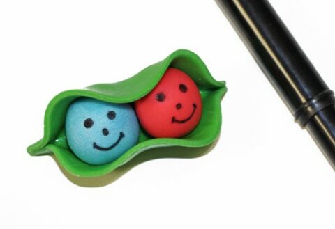 How to make two peas in a pod cake topper • Cake Journal