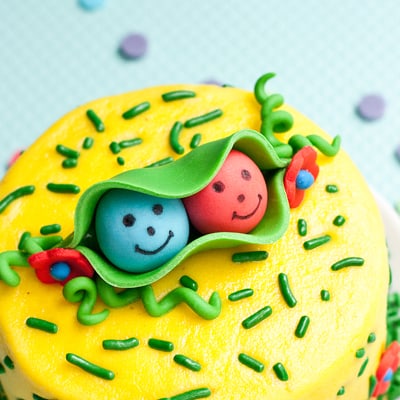 How to make two peas in a pod cake topper - Cake Journal