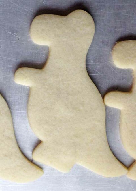 How to Decorate Simple T-Rex Dinosaur Cookies • Cake Journal