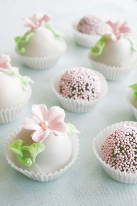 Cake Bite Recipes and Tutorials • CakeJournal.com