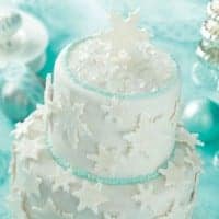 A Snowy Cake to Get You in the Winter Spirit